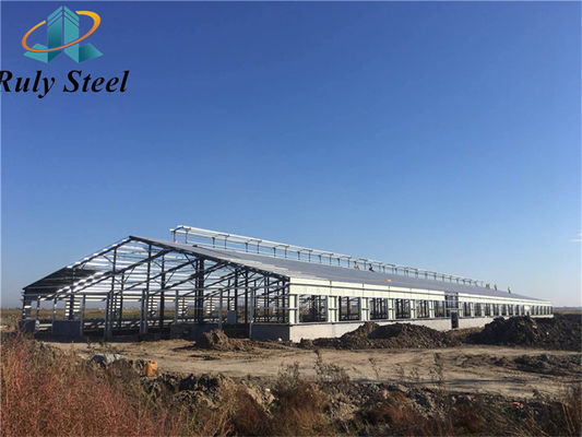 Storage Steel Structure Building Prefab Steel Structure Construction
